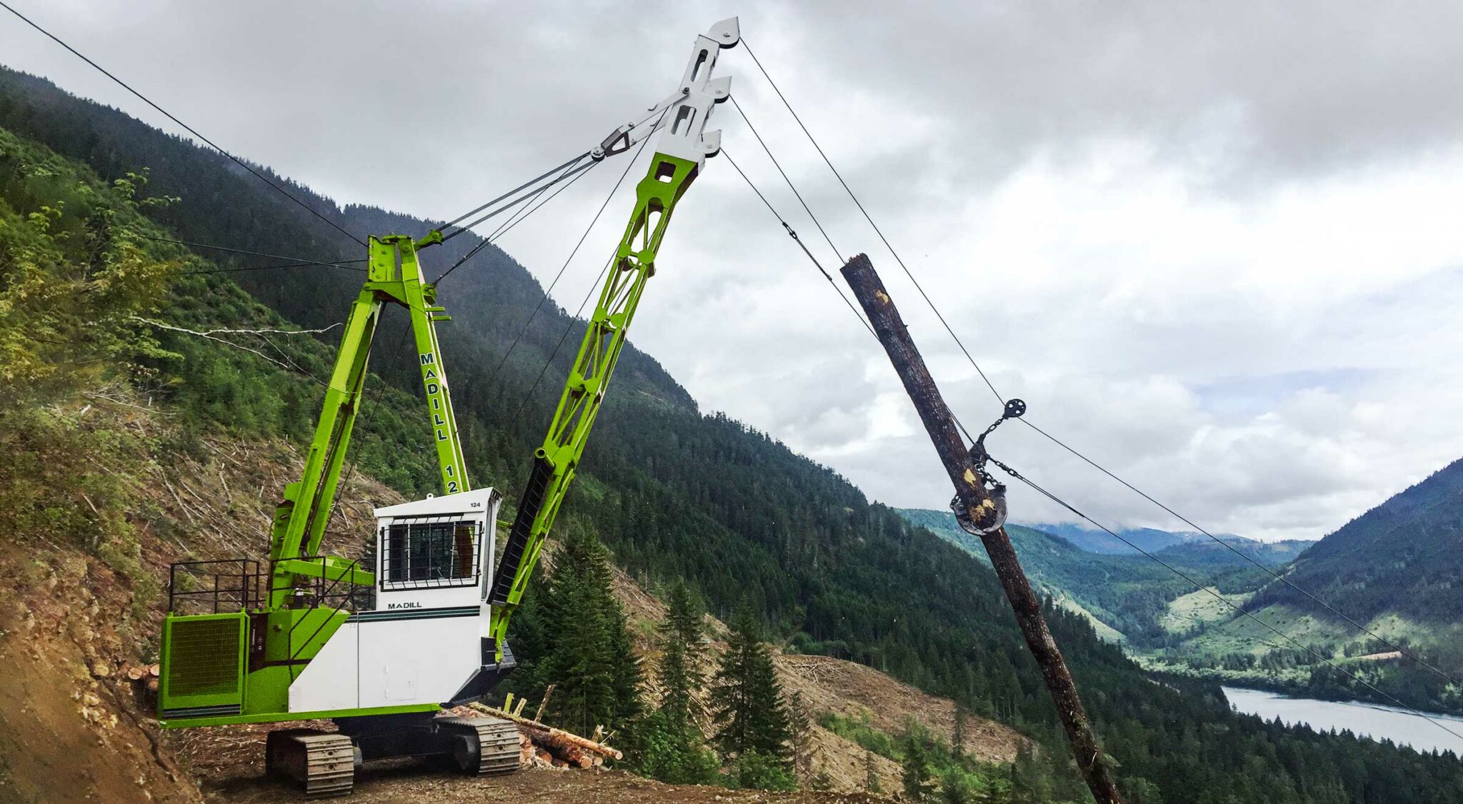 Coastal Logging & Forestry Services | Fall River | Meraki