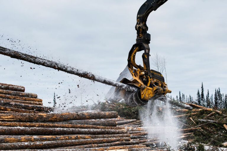 Interior Logging & Forestry Services | K&D Logging | Meraki