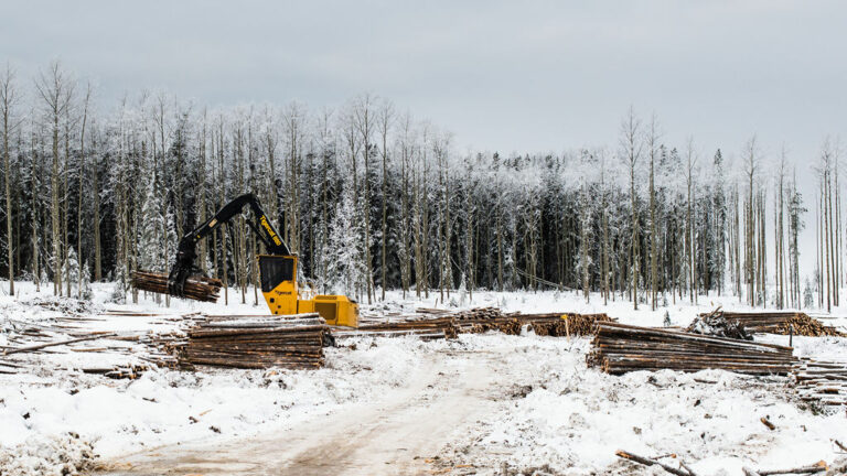 Interior Logging & Forestry Services | K&D Logging | Meraki