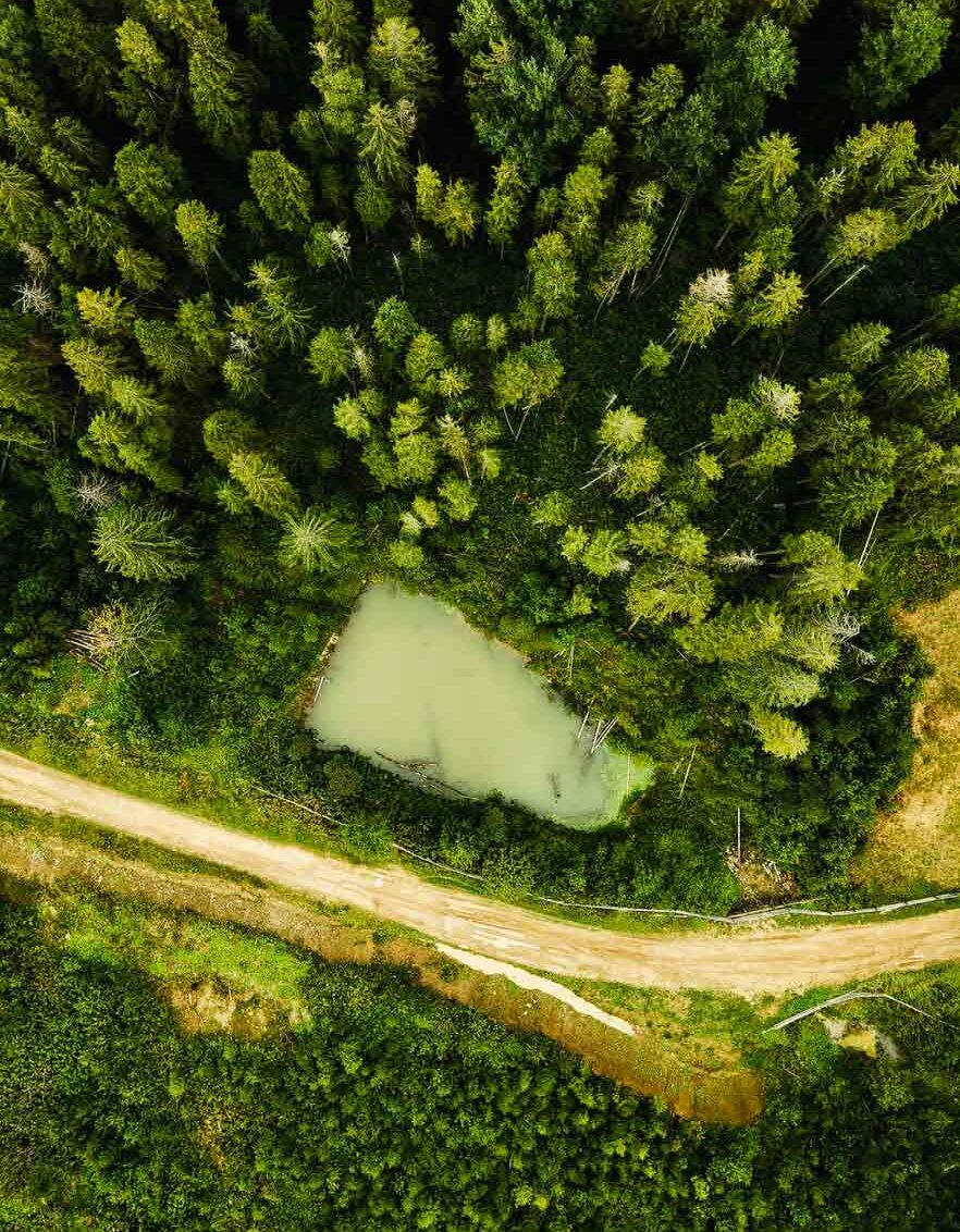 Forestry Consulting & Resource Management | Meraki Resources