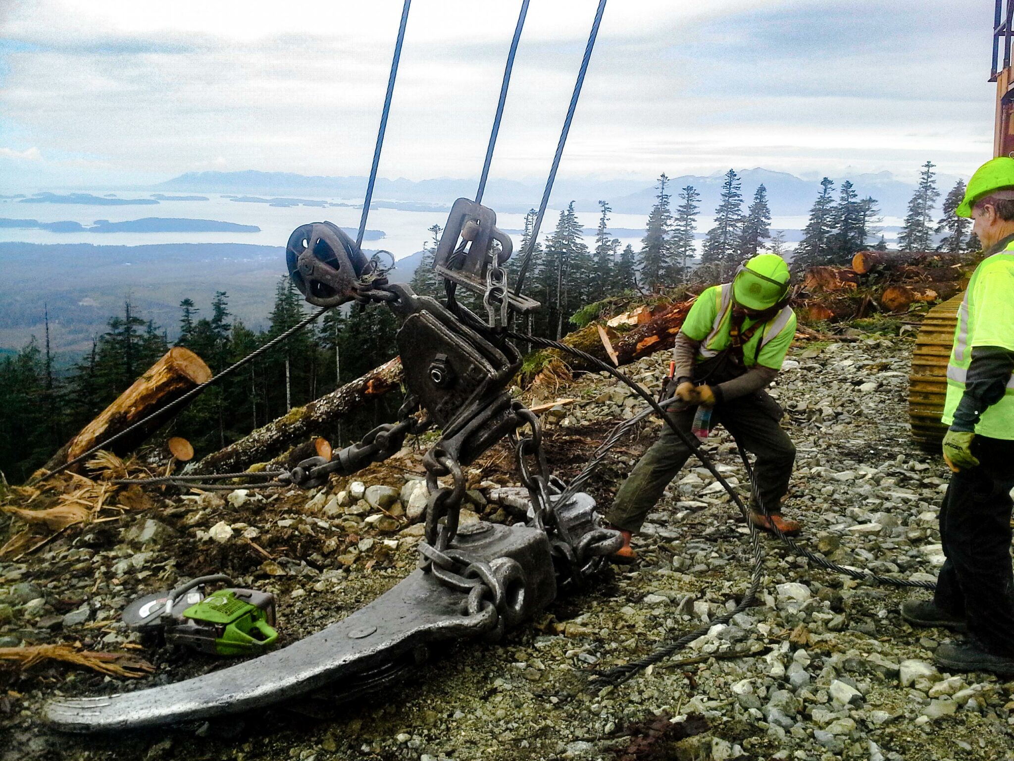 Coastal Logging & Forestry Services | Fall River | Meraki