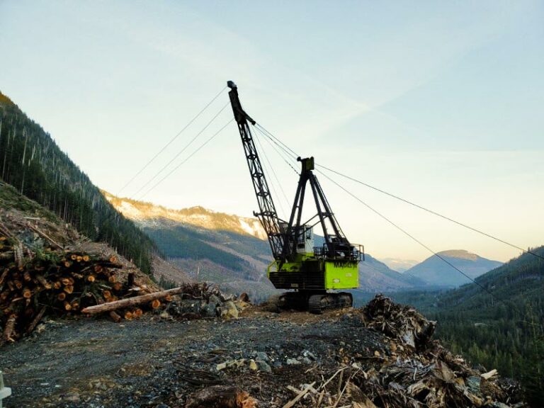 Coastal Logging & Forestry Services | Fall River | Meraki