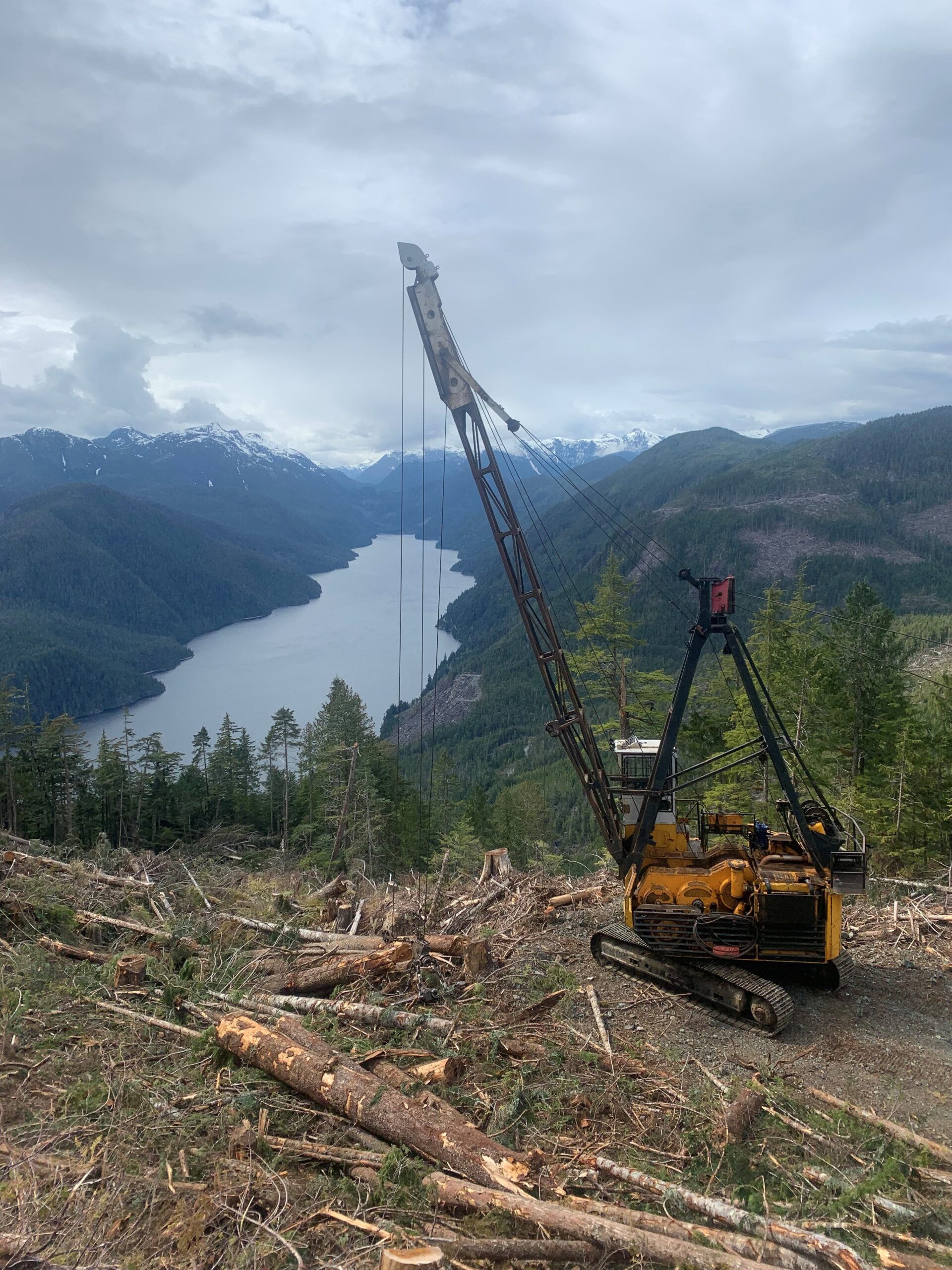 Your Diverse Resource Management Provider | Meraki Resources