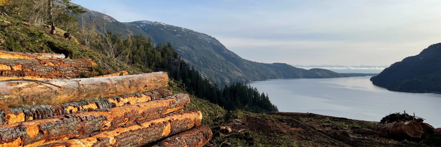 Coastal Logging & Forestry Services | Fall River | Meraki