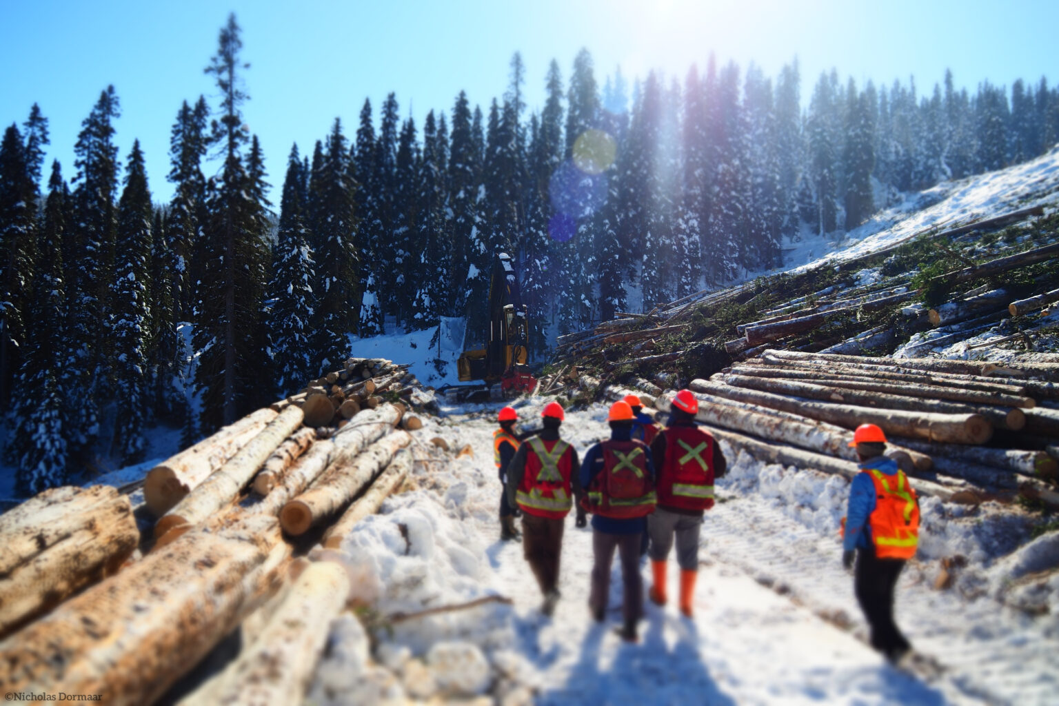 The Meraki Family | Our Subsidiary Companies | Meraki